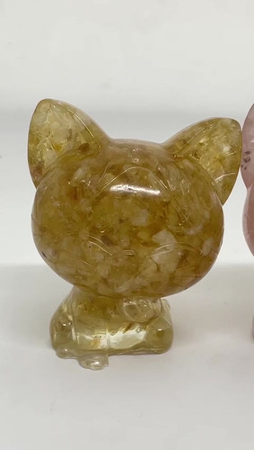 Big Head Cat | Gemtology