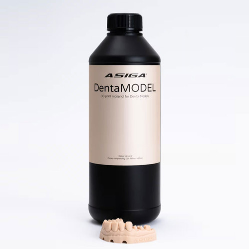 Asiga DentaMODEL | Lux Dental Supply