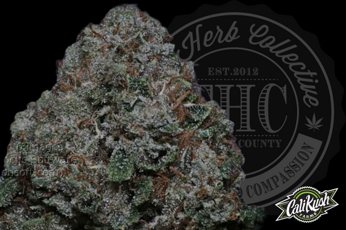 EMPEROR OG 34.6% | EXCLUSIVE | CALI KUSH FARMS | the-herb-collective