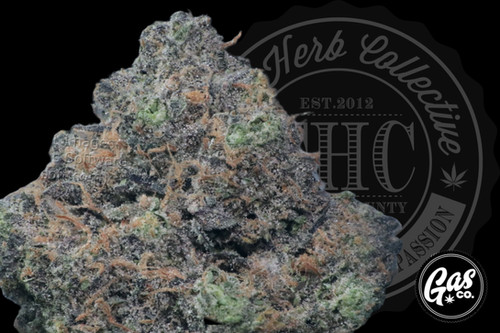 YUKMOUTH KOOLATO 32.6 % | TOP SHELF INDOOR | GAS CO. X BACKPACK BOYZ ...