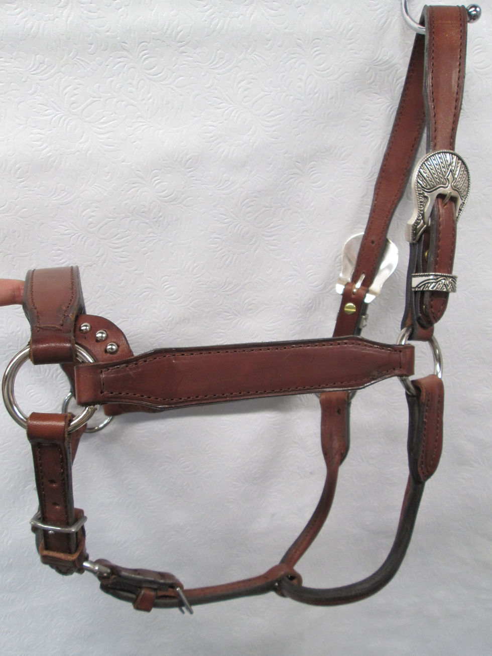 Just 4 Show Saddlery(JFS) Ranch Horse Class Halter | Just 4 Show Saddlery