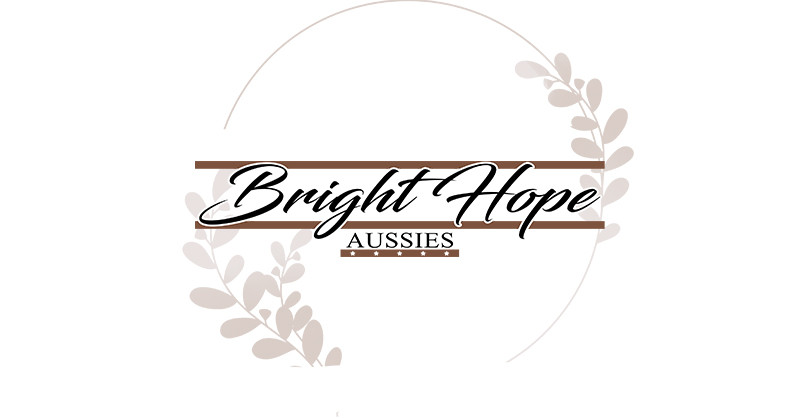 About us | Bright Hope Aussies