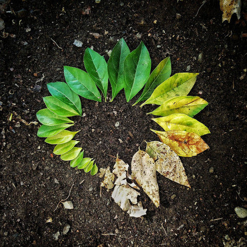 CycloRetin™ - The first Cyclopeptide Retinol and Bakuchiol Alternative ...