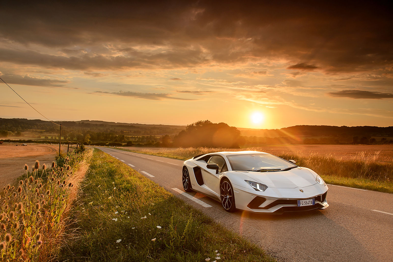 Steve Hall Photography