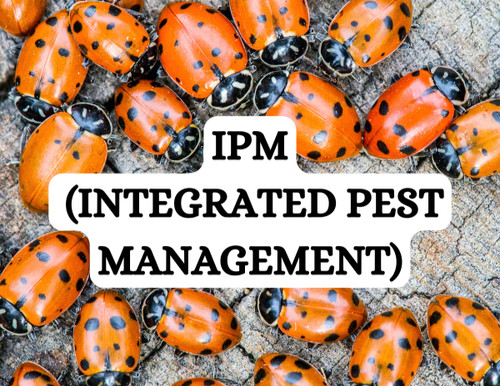 IPM (Integrated Pest Management) | Sunscape