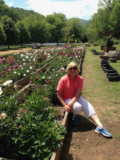 About Us | Wildcat Ridge Farm