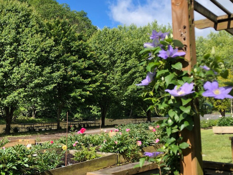 About Us | Wildcat Ridge Farm