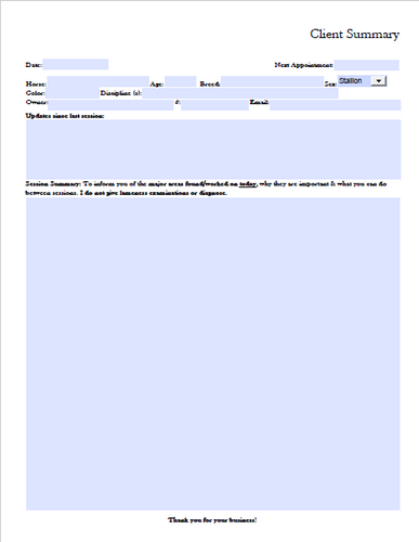 Client Summary- Outline, Stretch Options, No Invoice | hands4hooves