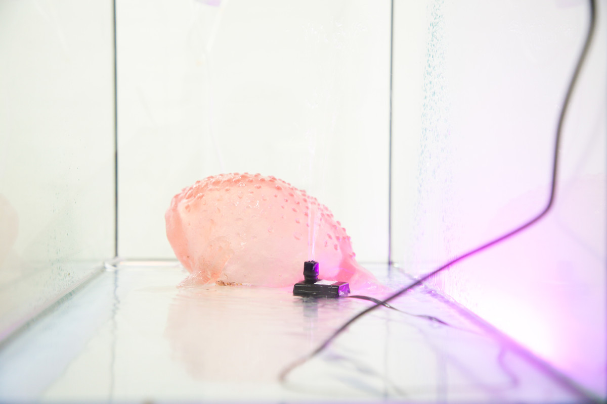 Laboratory | Jessica Wetherly