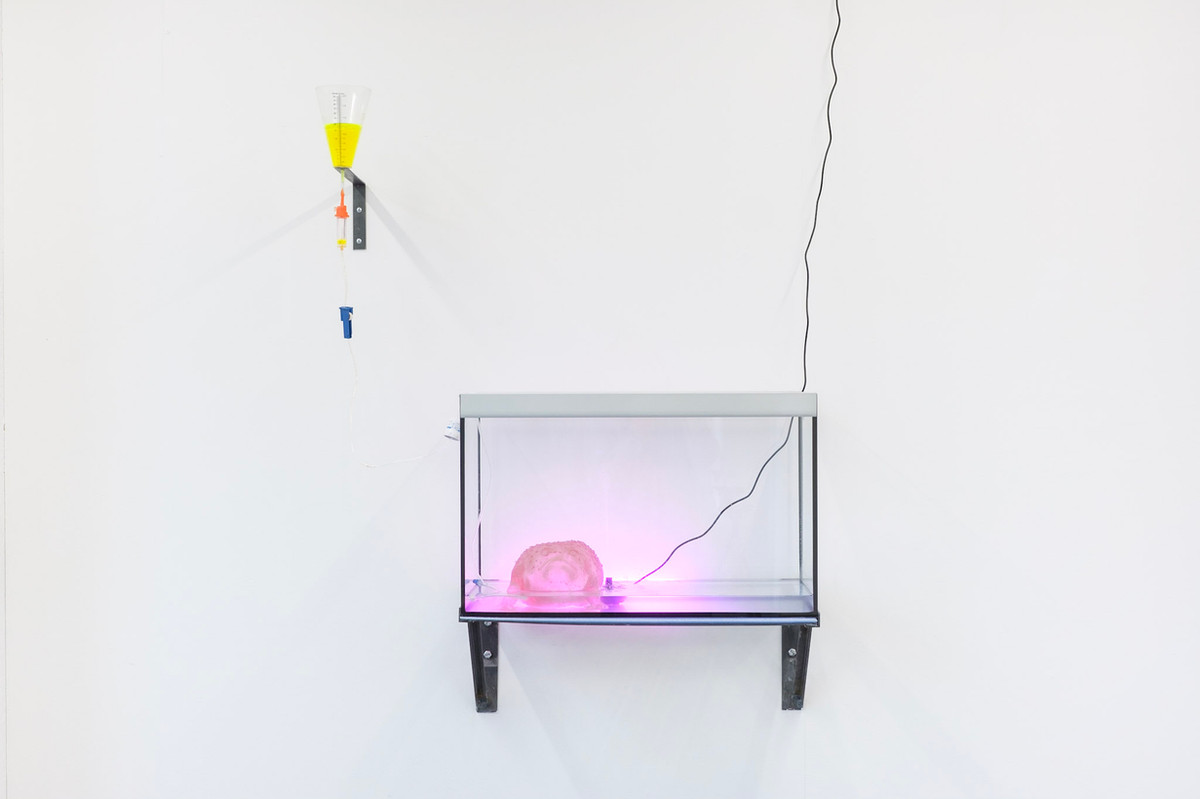 Laboratory | Jessica Wetherly
