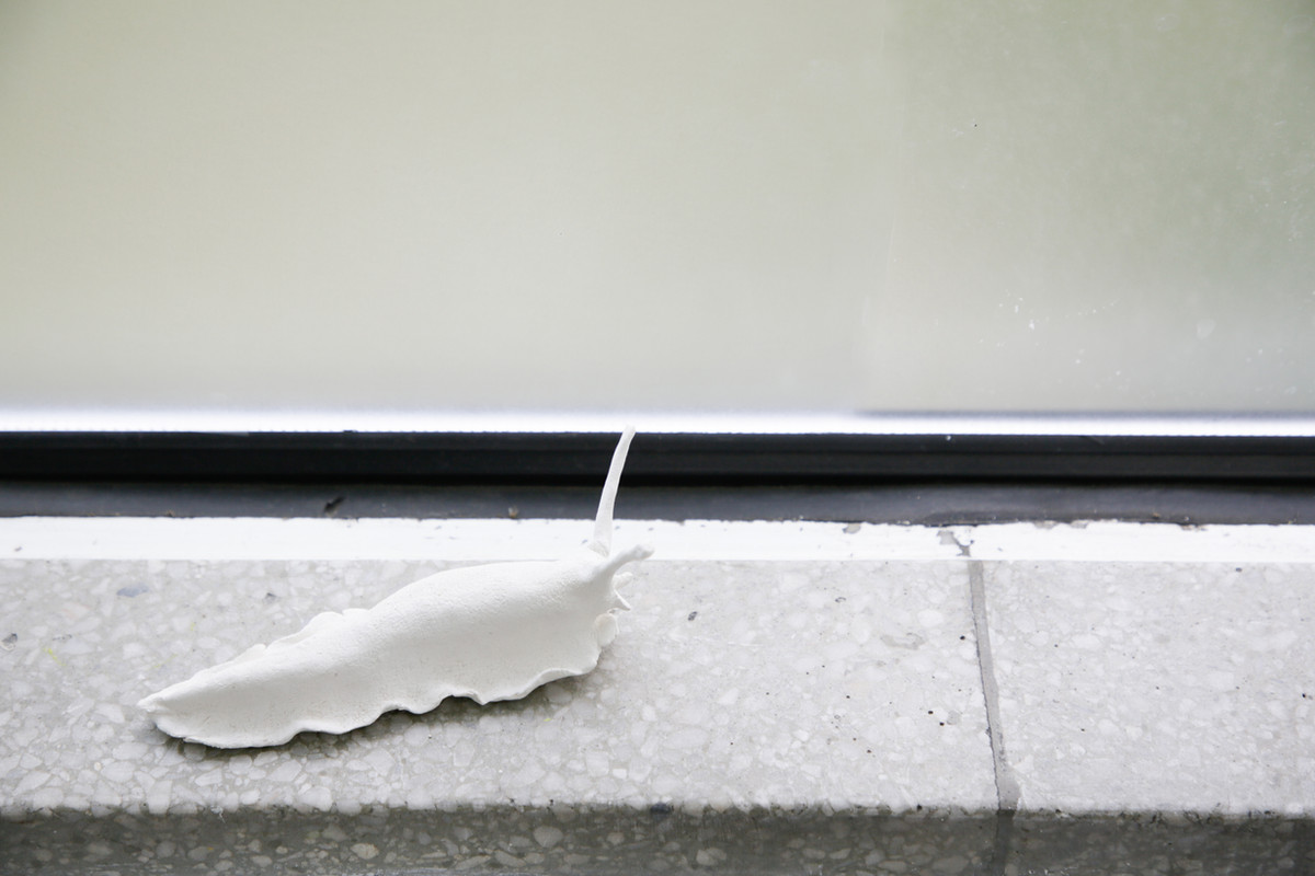 Laboratory | Jessica Wetherly