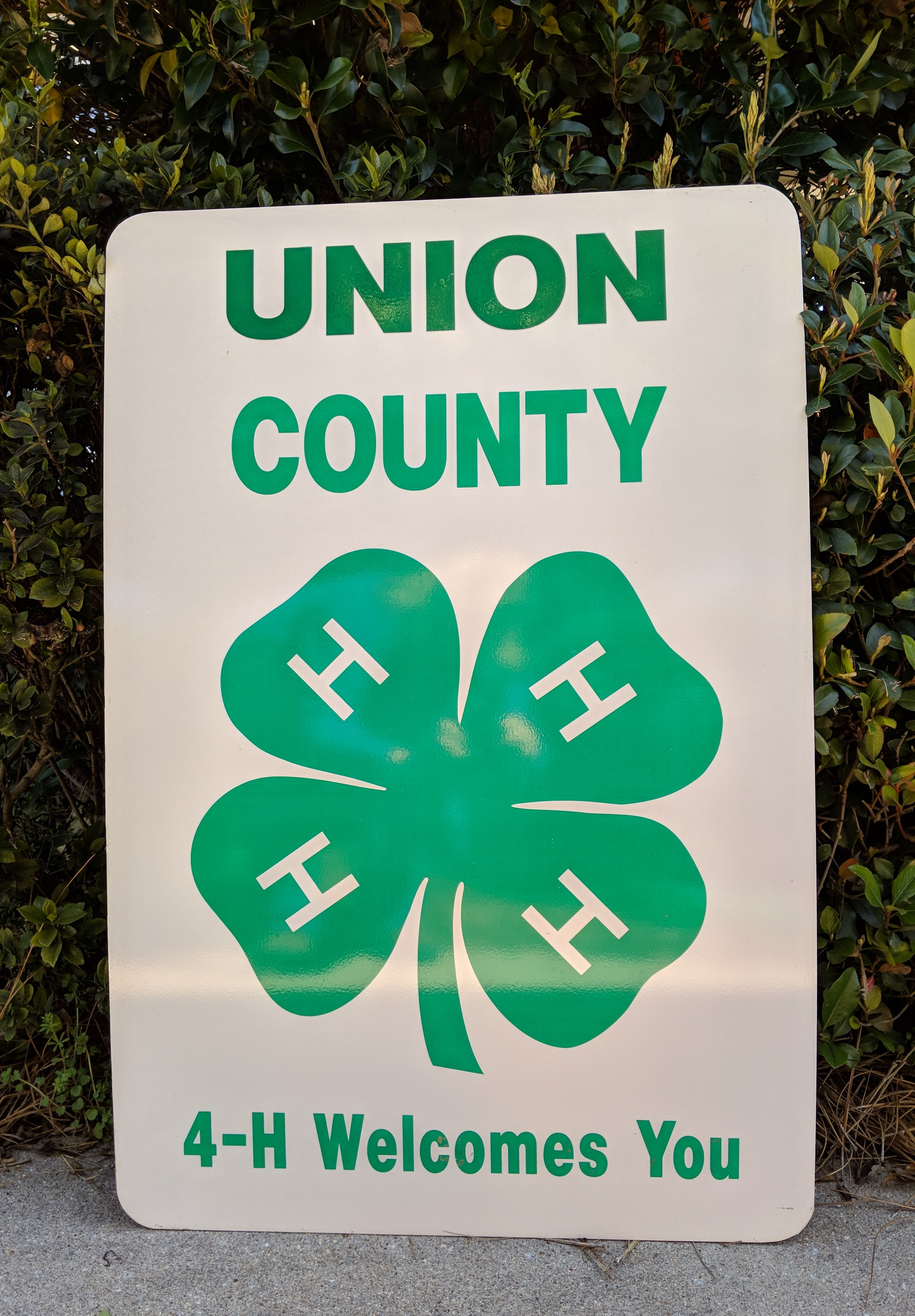 4-H Poultry Projects Open for Registration