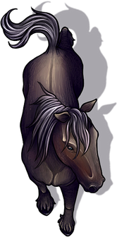 Token Hoard | Caeora