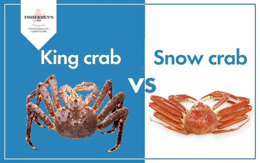 King Crab VS Snow Crab