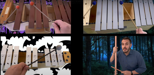 Leather Winged Bat | robdelgaudio