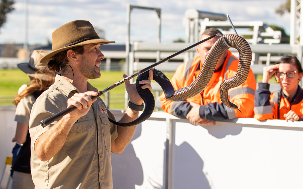 Shows & Events | Lake Mac Zoo