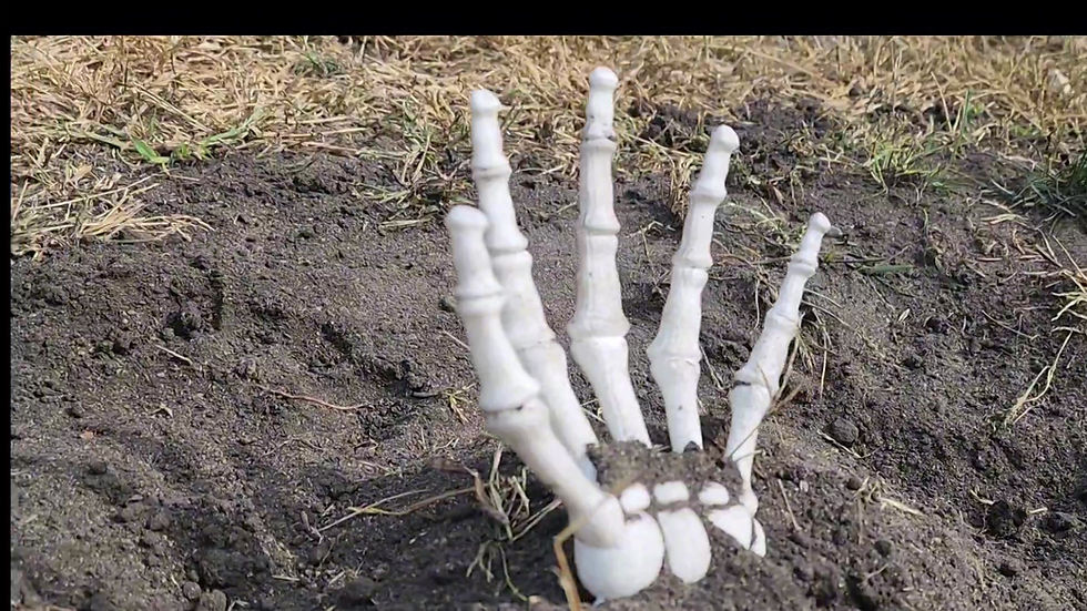 Skeleton Hand Prop | Kyles360Tech