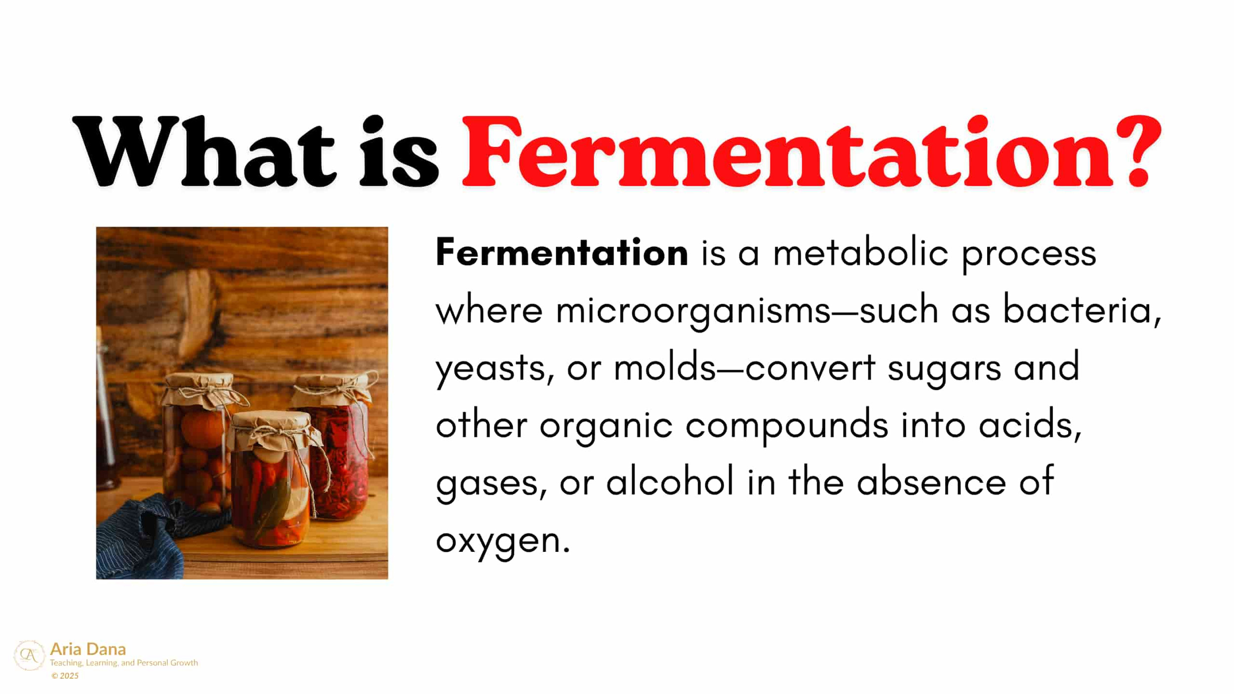 Understanding Fermentation: From Microbes to Modern Food Science