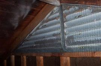Time to Animal-Proof Your House!