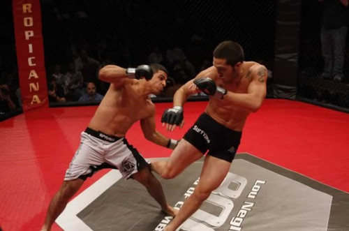Private session with Prof. Roger | williamsburg-mma