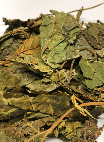 Mulberry Leaf (100g) | Hop to Forage