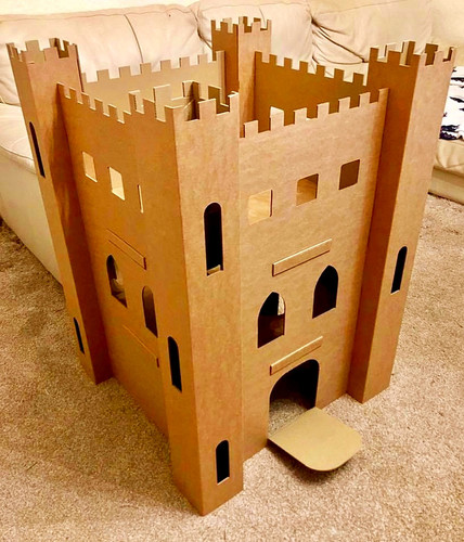 Cardboard Pet Castle | Hop to Forage