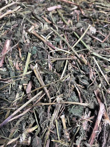 Whole Nettle Stalks & Leaves (100g) | Hop to Forage