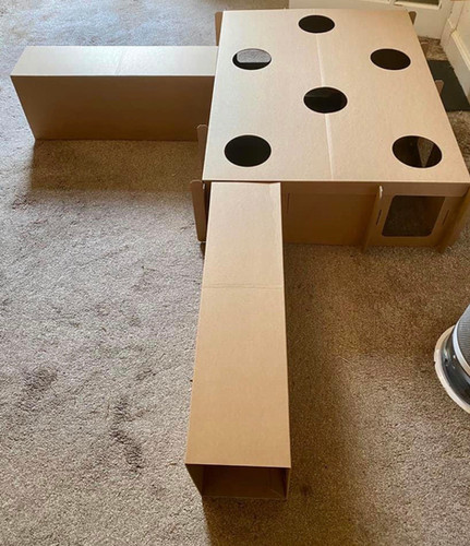 Cardboard Tunnels (Twin Pack) Free Shipping | Hop to Forage