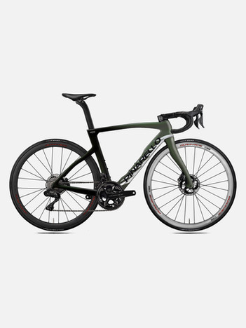 Pinarello Dogma Forest Surfer | Sleeve Studios