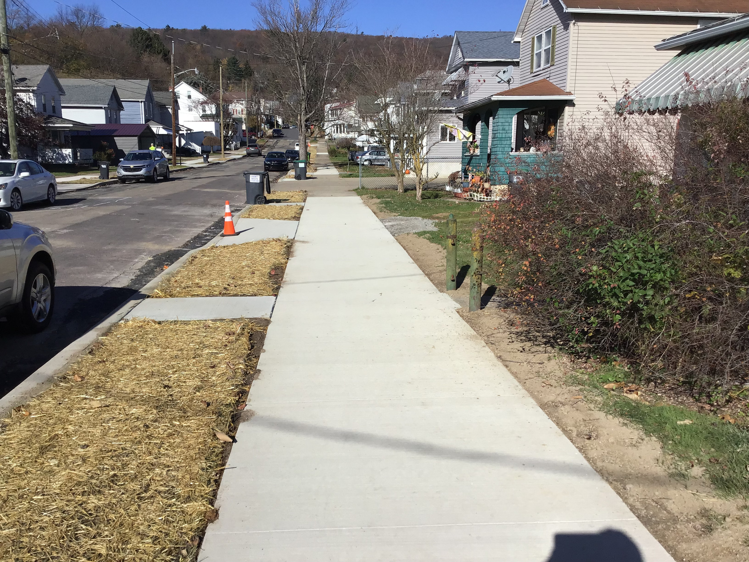Luzerne Street Scape Miller Street | Multiscape Inc.