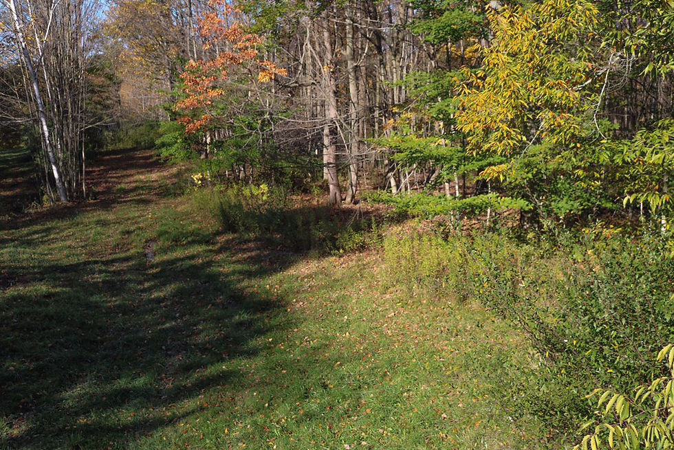 Michigan Hunting Ranch Review | Ranch Review and Outfitter Connection