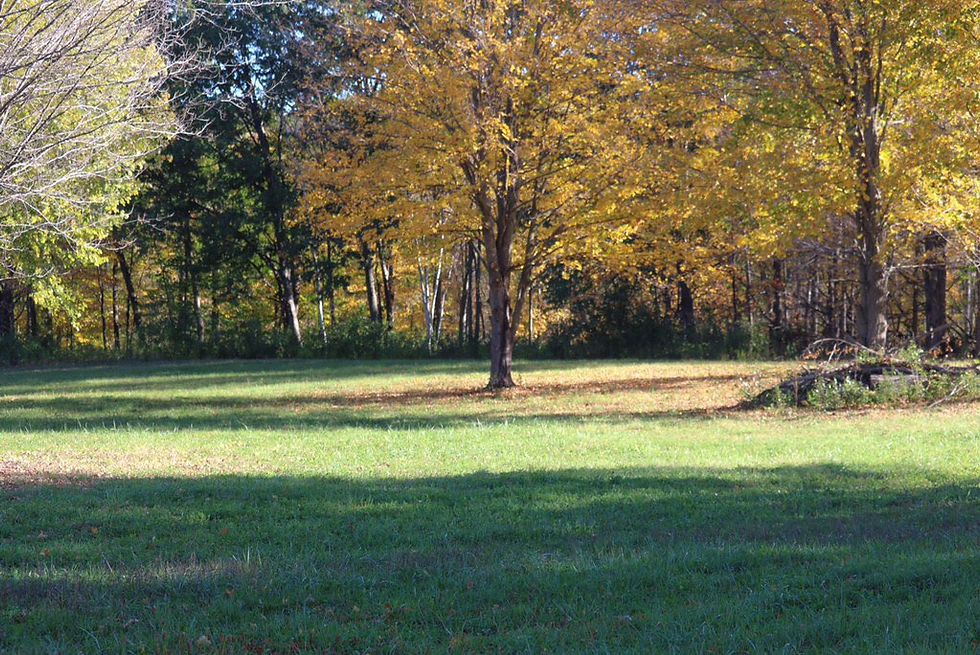 Michigan Hunting Ranch Review | Ranch Review and Outfitter Connection