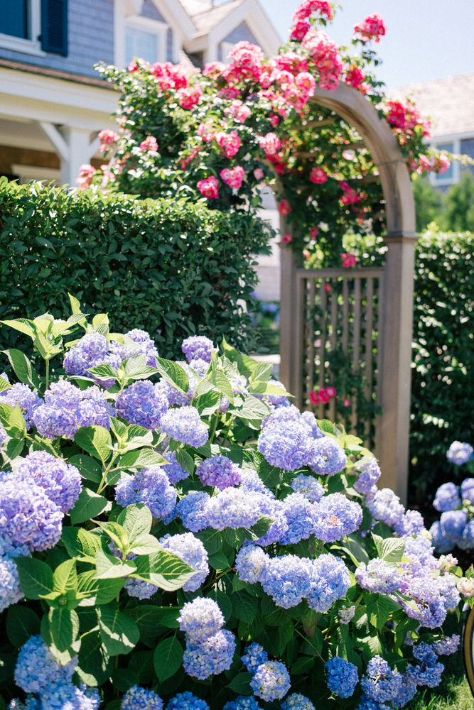 NANTUCKET FLOWER CAMP