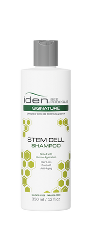 Signature Stem Cell Shampoo (12 fl.oz) | Iden