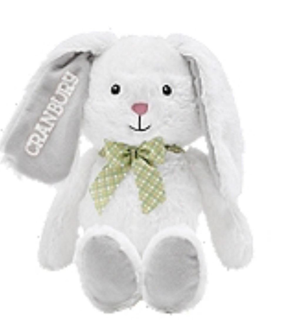 Cranbury Bunny | CHPS