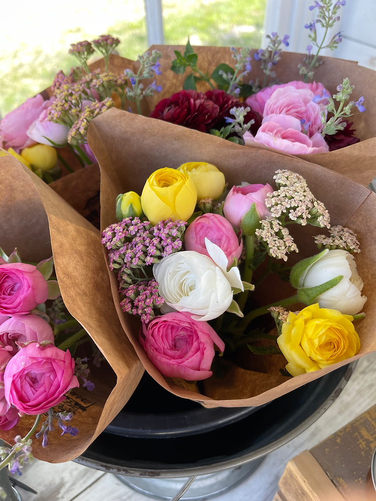 How to Grow Ranunculus - A Regenerative Guide