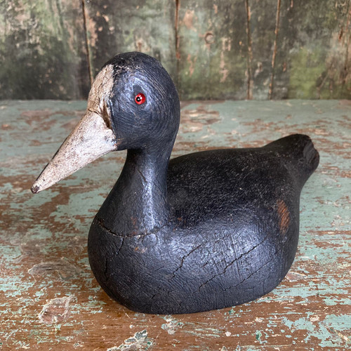 SOLD - Antique coot decoy | Marc Kitchen-Smith