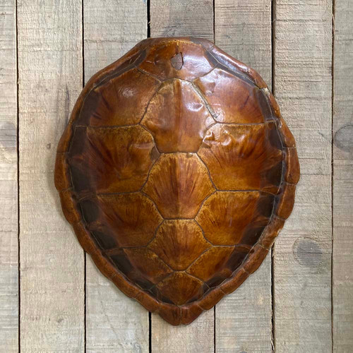 SOLD - Antique turtle shell | Marc Kitchen-Smith