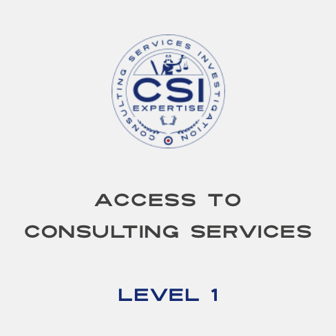 CONSULTING SERVICES - Level 1 | CSI-EXPERTISE