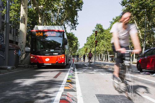 Zicla Zipper | Biciway