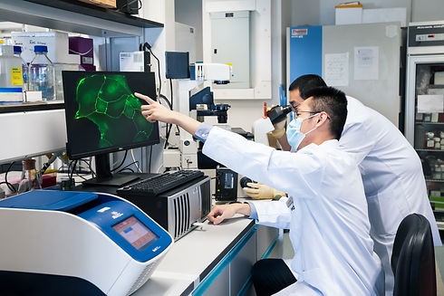 Home | Centre for Translational Stem Cell Biology