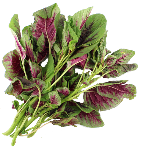 RED CALLALOO | Truong Enterprises