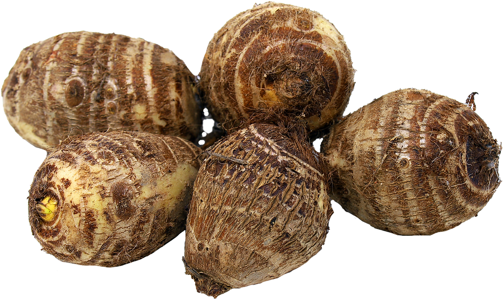 MALANGA EDO TARO ROOT | Truong Enterprises