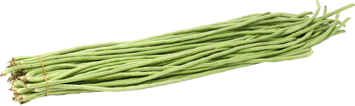 WHITE LONG BEAN | Truong Enterprises