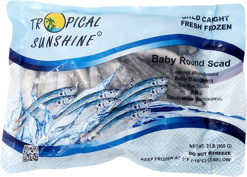 BABY ROUND SCAD [15-30] 100% | Truong Enterprises