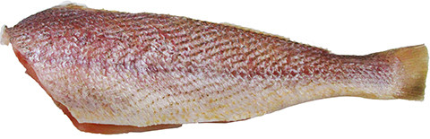 CROAKER PAN READY (H&G) 25 LB | Truong Enterprises