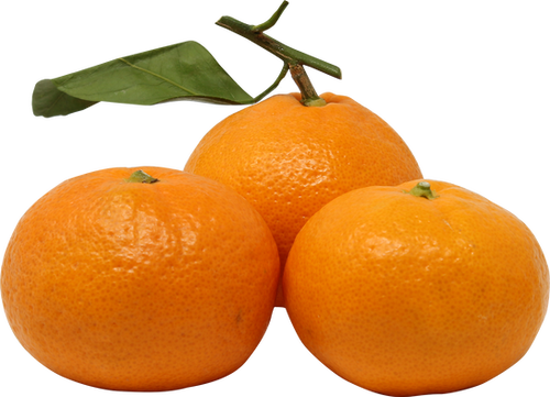 SATSUMA MANDARIN WITH LEAF | Truong Enterprises