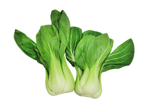 SHANGHAI CHOY | Truong Enterprises