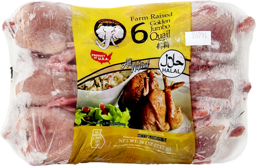 JUMBO QUAIL (HALAL) #617 | Truong Enterprises