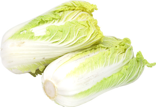 BABY NAPA | Truong Enterprises